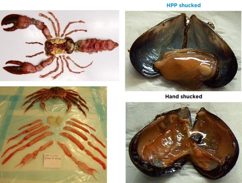 Diving 198,000 ft. under the sea for fresh, nutritious and safe HPP ...