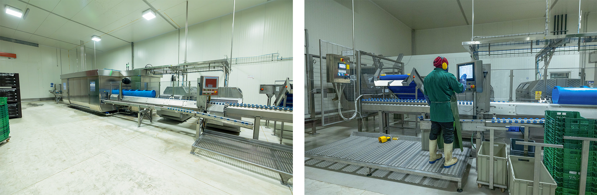 Macè: Fresh-like HPP Juices & Sauces with An Extended Shelf-life ...