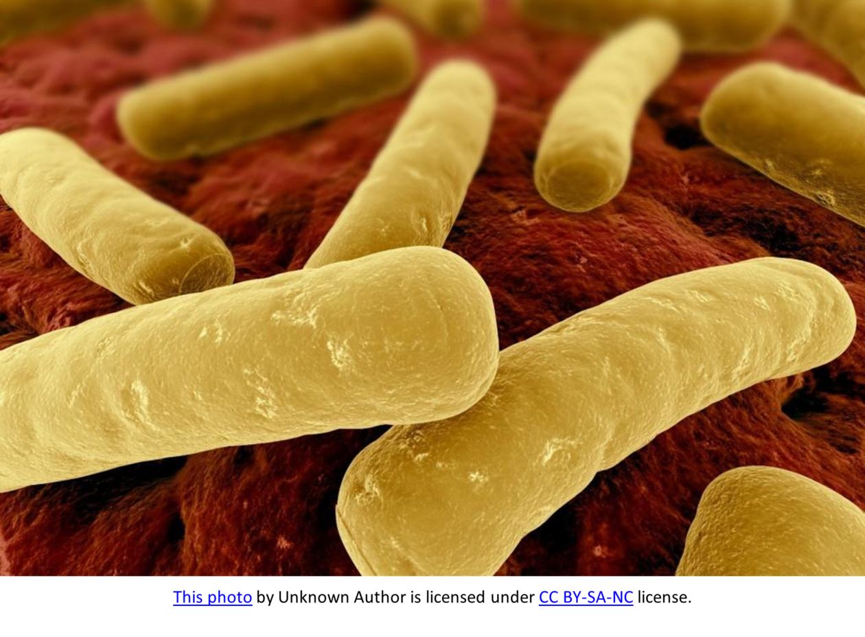 Clean Label Antimicrobial Synergy with High-Pressure Processing (HPP ...
